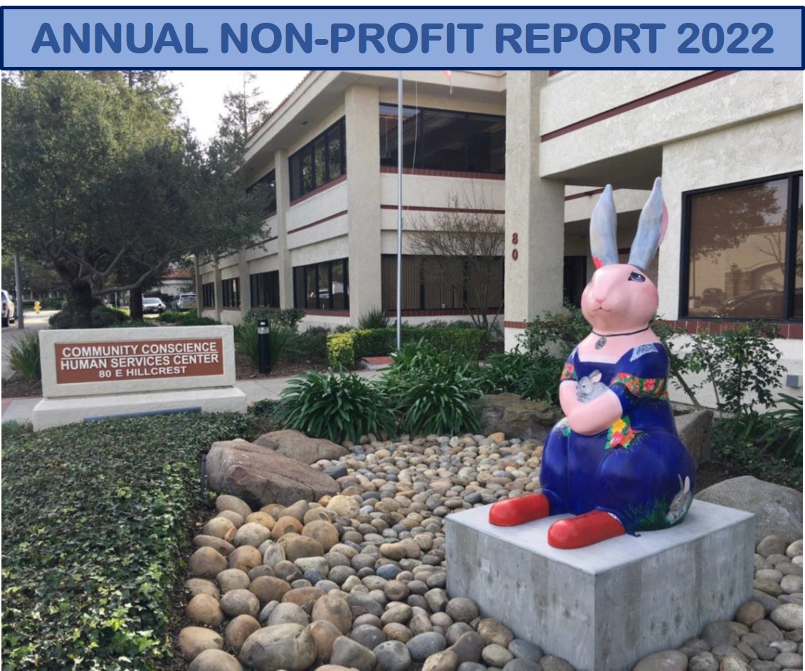 Download Our Annual Non-Profit Report 2022 – Community Conscience